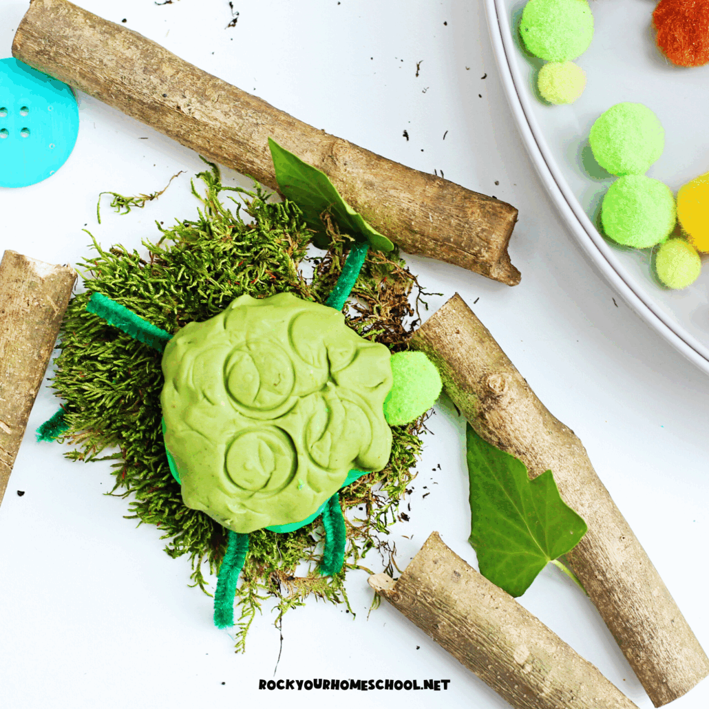 Playdough Turtle Activity: How To Make And Easy Ideas To Use - Rock ...