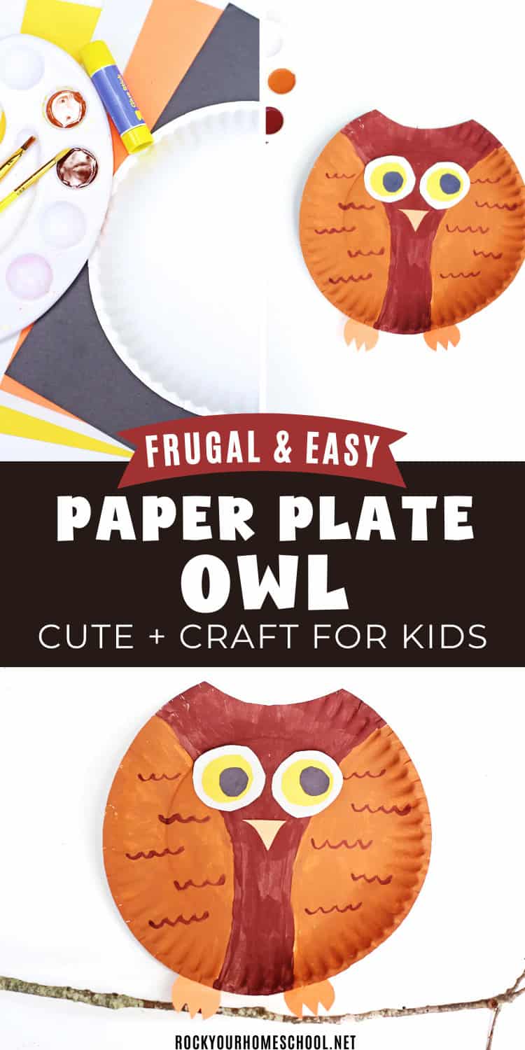 Easy Paper Plate Owl Craft for Kids (Frugal & Fun Activity)- Rock Your ...