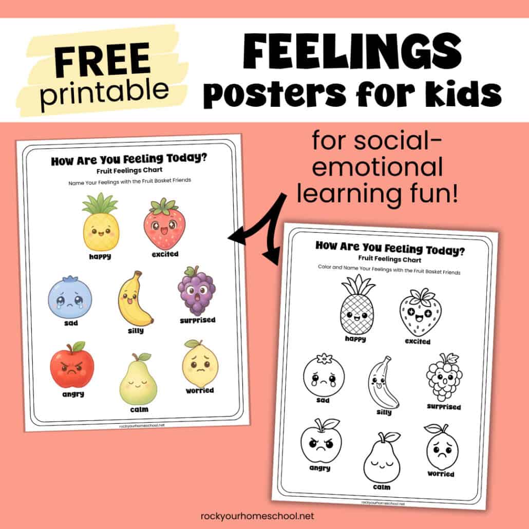 Feelings Chart and Coloring Activity Set - Rock Your Homeschool