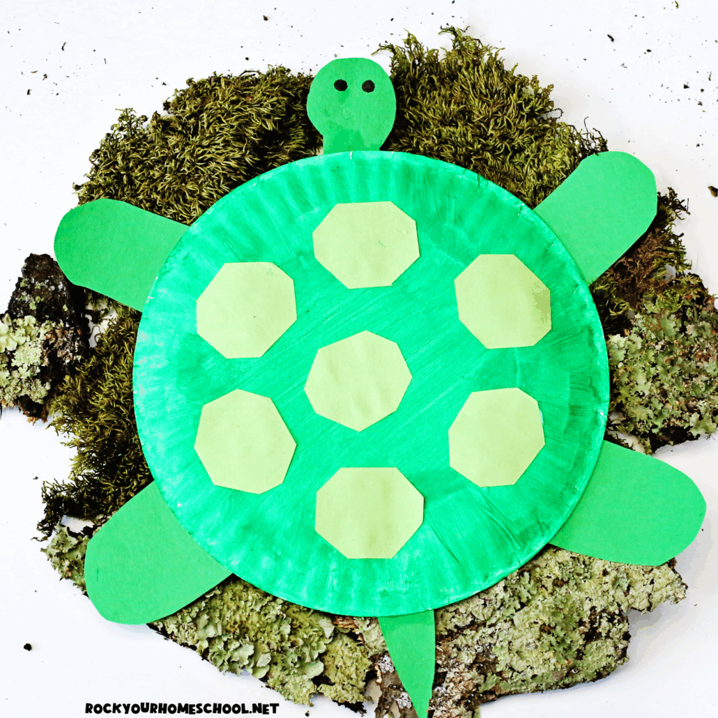 Simple and Cute Paper Plate Turtle Craft for Kids - Rock Your Homeschool