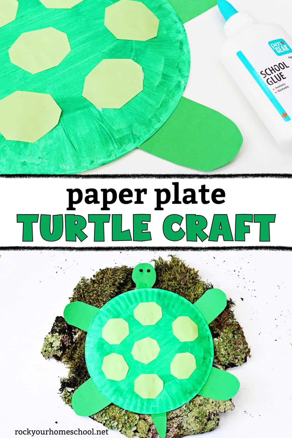 Simple and Cute Paper Plate Turtle Craft for Kids - Rock Your Homeschool