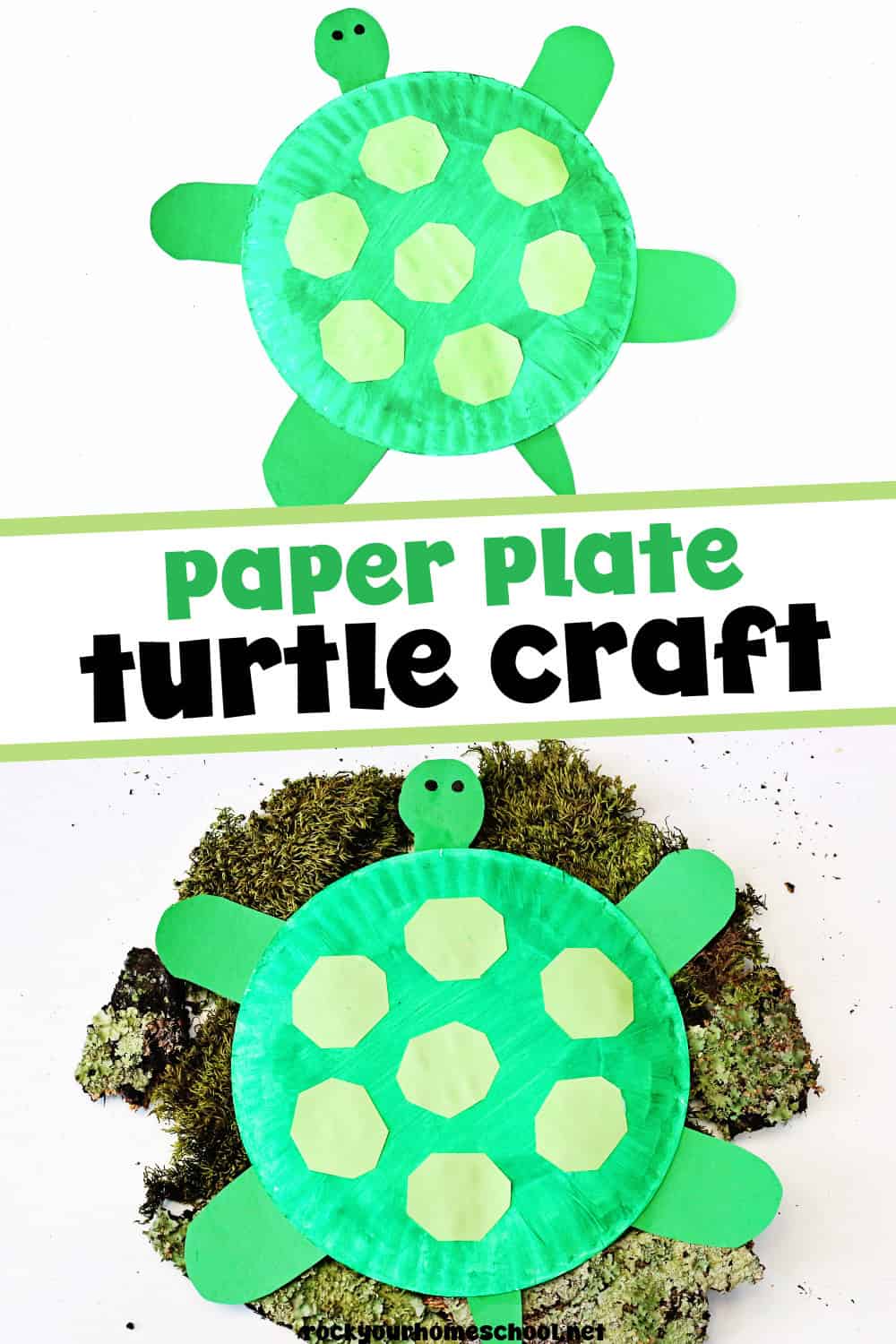 Simple and Cute Paper Plate Turtle Craft for Kids - Rock Your Homeschool
